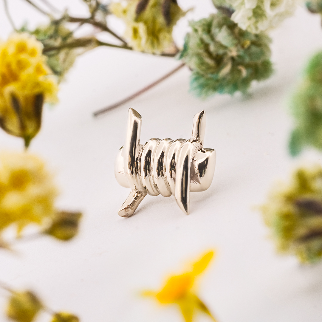 Profesionalus Auskarų Vėrimas | Piercing Project Vilnius