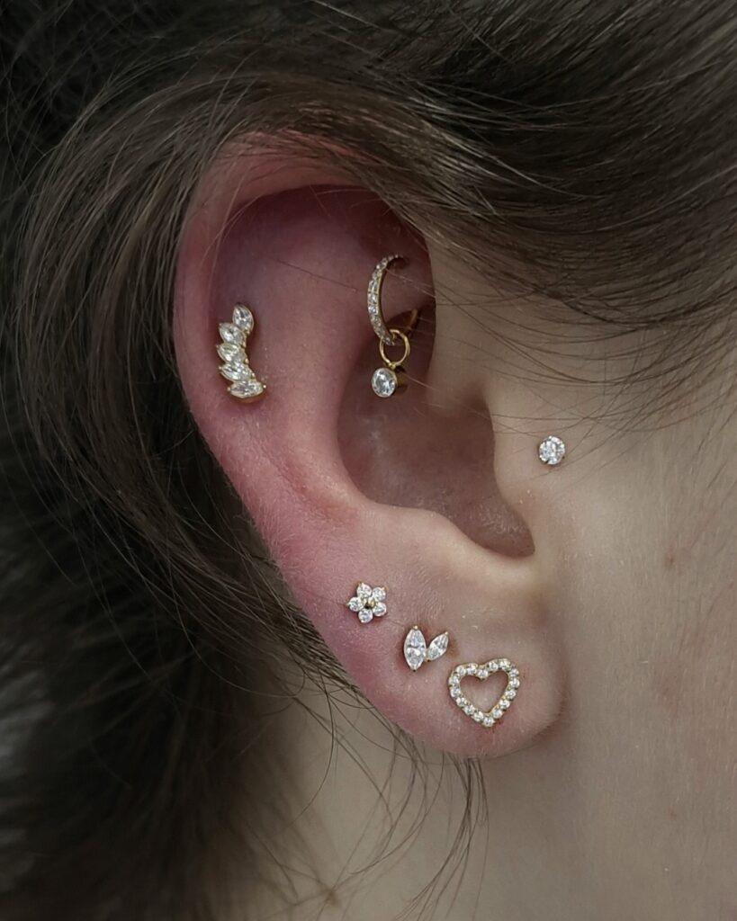 Profesionalus Auskarų Vėrimas | Piercing Project Vilnius