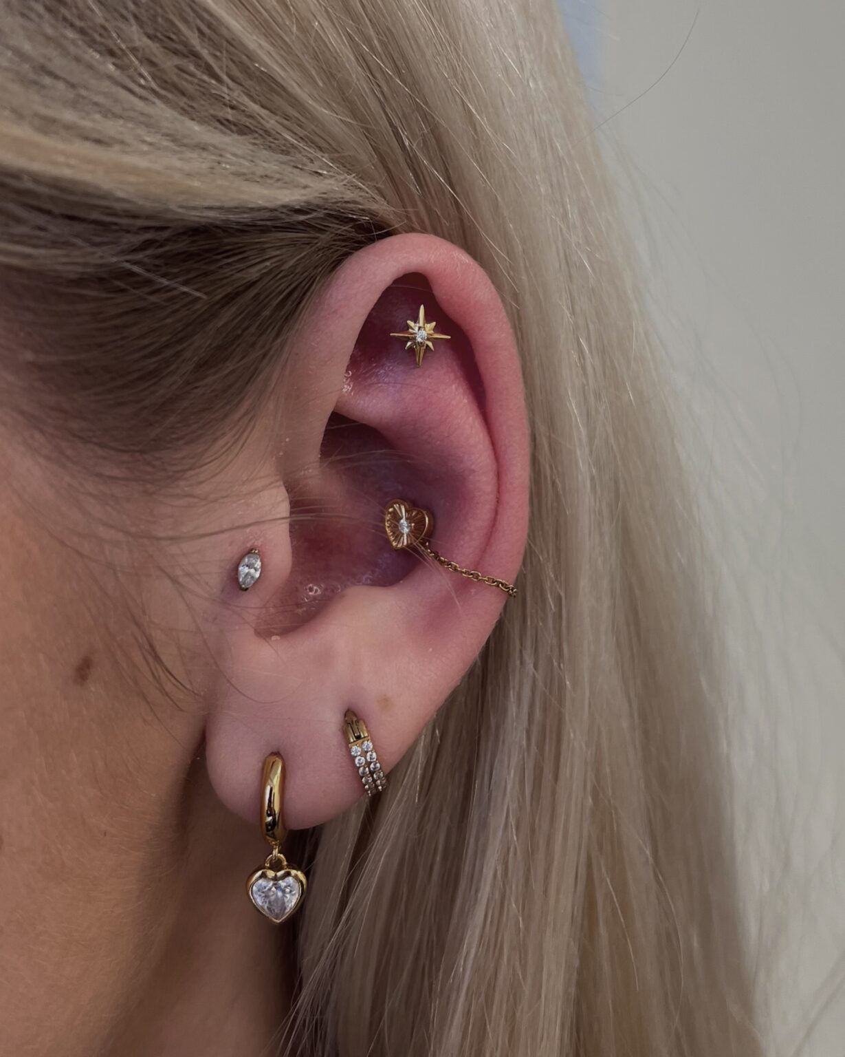 Profesionalus Auskarų Vėrimas | Piercing Project Vilnius