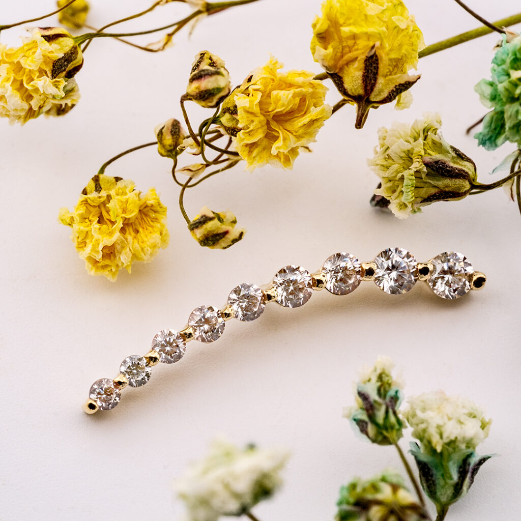 Profesionalus Auskarų Vėrimas | Piercing Project Vilnius